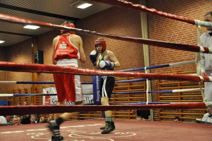 Bokse-stævne - den lokale hjemmeside for Skive-egnen