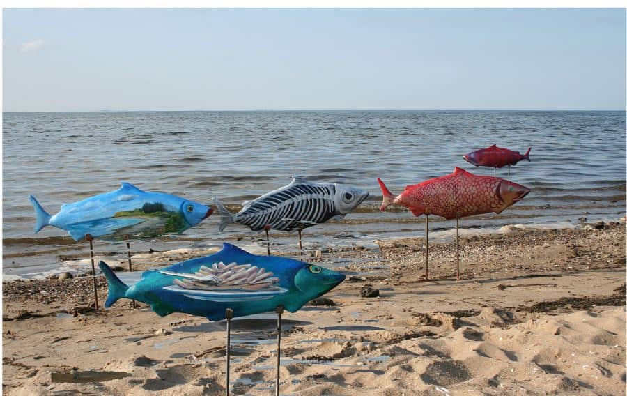 Fur Fish Parade – the facts. - den lokale hjemmeside for Skive-egnen