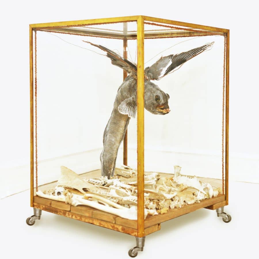 Sine Missione – Tune Andersen - den lokale hjemmeside for Skive-egnen